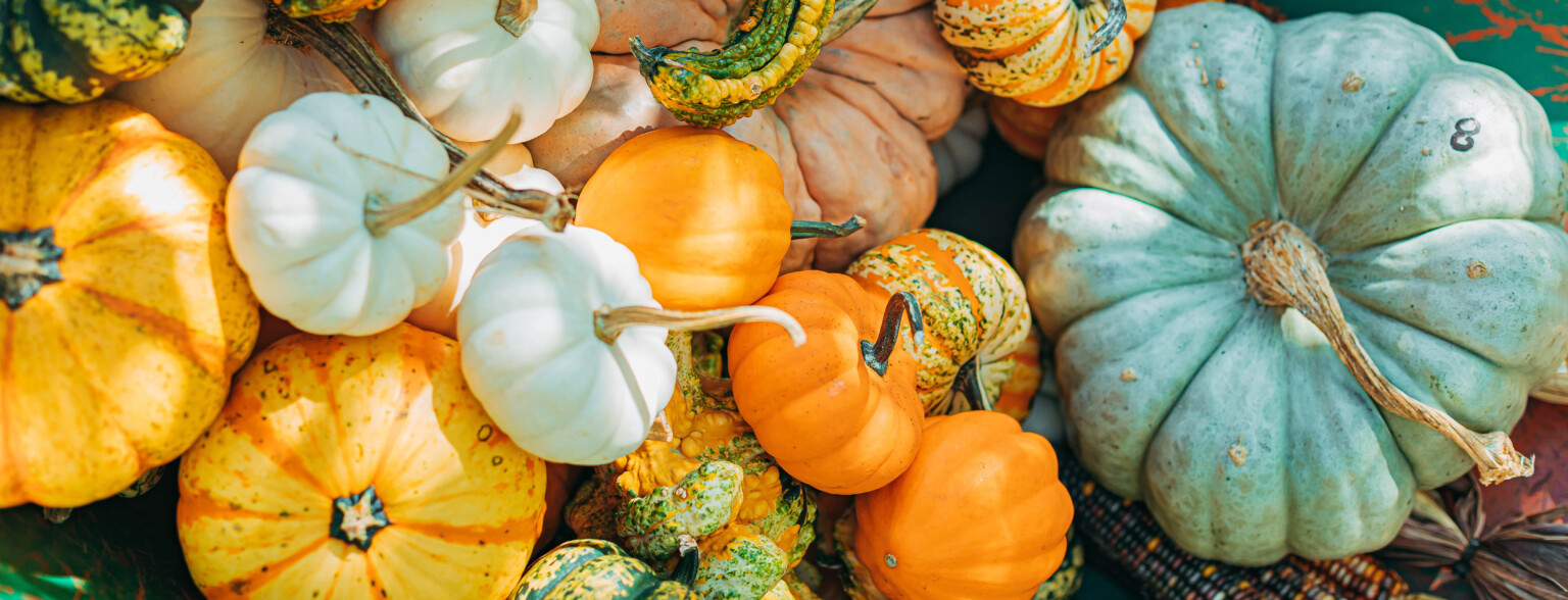 2022 Fall Family Forum Highlights | The Arc